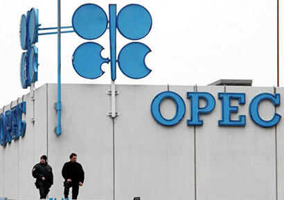 OPEC Oil Price up