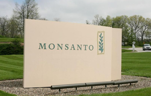 Monsanto, ToolGen Sign Licensing Agreement for CRISPR Technology