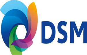 DSM to Expand Capacity of High Performance Plastics