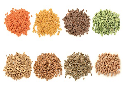 Bayer In Exclusive Talks To Sell Vegetable Seeds Business To BASF