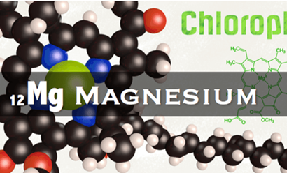 Magnesium imports from Israel threaten to injure US industry: US ITC