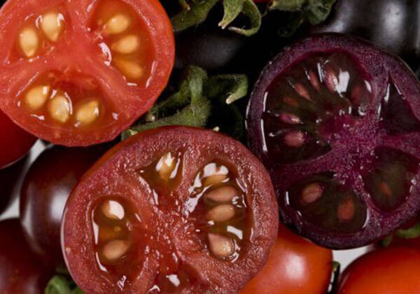 Basf insecticide Axalion®Active(Azidazolamide) becomes the only product ...