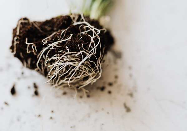 What is chemical formula for magnesium nitrate and its uses