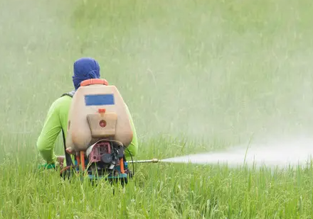 Pesticide import and export situation in China in August 2022