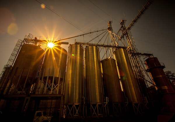 Basf insecticide Axalion®Active(Azidazolamide) becomes the only product ...