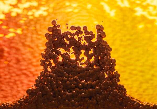 Carnauba Wax in Food: Uses and Health Hazards Explained