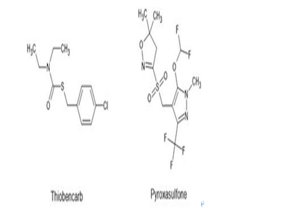 Recent Trends and Opportunities in The Global Agrochemical Market