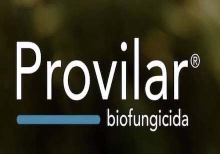 FMC:Provilar is introduced in Brazil to combat leaf spot and mucormycosis