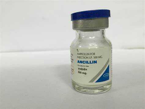 How Does Ampicillin Work? Understanding Ampicillin Mechanism of Action