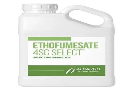Albaugh launched the herbicide：Ethofumesate 4SC Select