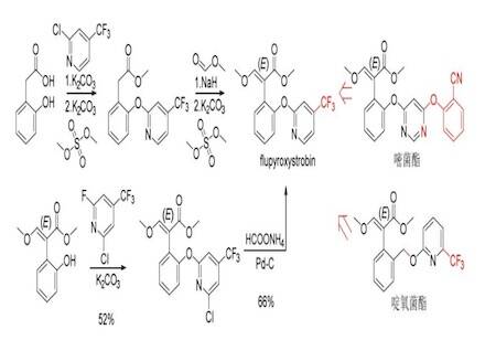 Syngenta: Flupyroxystrobin received ISO generic name