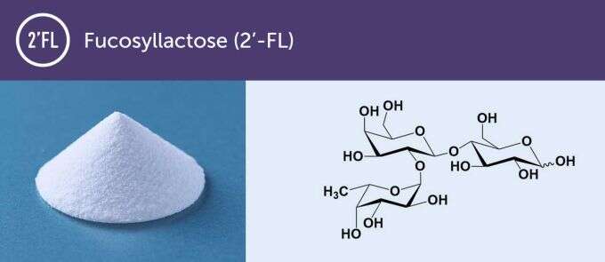 EU Evaluates Safety of 2'-Fucosyllactose as a Novel Food Ingredient