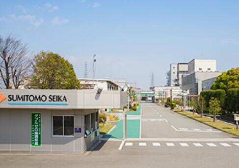 Sumitomo Seika Announces It Will Double Its Water-Absorbent Resin ...