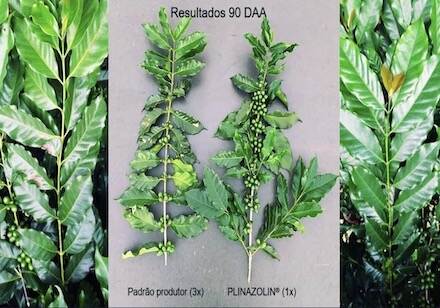 Syngenta introduces Joiner(Isocycloseram), an insecticide and acaricide ...