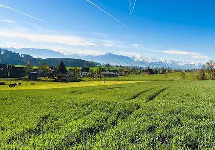 World's first RNAi biopesticide spray registered