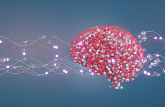 The knowledge of “brain chain amino acids benefits”