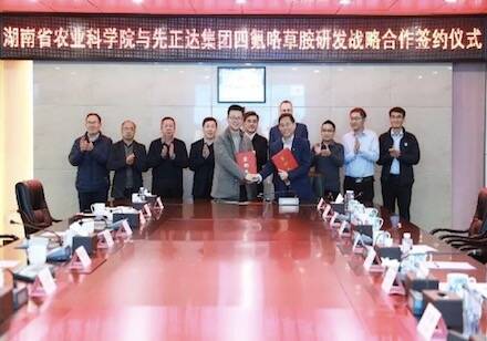 Syngenta and Hunan Academy of Agricultural Sciences signed a research ...