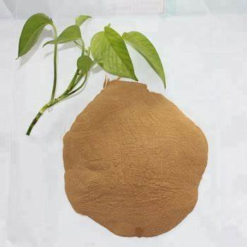 Comprehensive Guide to Sodium Naphthalene Sulfonate MSDS: Safety and ...