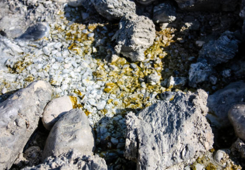 What is the Oxidation State of Sulfur in H2SO4 || Detailed Explanation