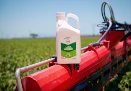 Bayer promotes Luna® Experience, a Fluopyram fungicide, in Australia