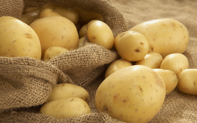 FDA Approves Gene-Edited Potatoes for Food and Feed: A Milestone in ...