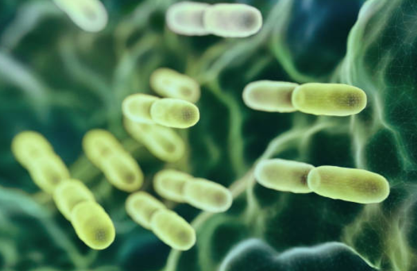 How does formaldehyde used in embalming works