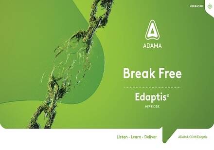 Adama's post-emergence herbicide EDAPTIS® is coming to Europe