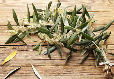 Tetrasodium Pyrophosphate in Toothpaste | Overview