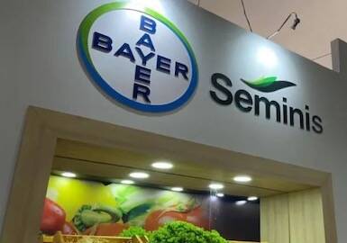 Bayer will market an innovative Bixafen fungicide in Brazil