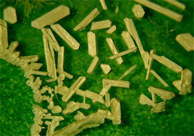 ExxonMobil Huizhou Ethylene Project Starts Construction of 500,000 Tons ...