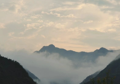 Jiangsu Chengyang plans to expand the 13,000 tons of pesticide projects such as Cyproconazole ...