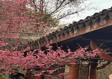 Metrafenone was expanded to wheat, grape and cucumber in China