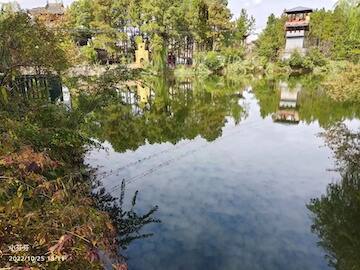 World's first RNAi biopesticide spray registered