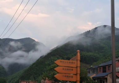 Syngenta's latest ISO name herbicide： Metproxybicyclone