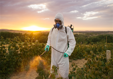 Australia Issues Emergency Ban on 12 Pesticides Containing DCPA, Citing ...