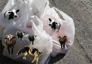 Debate Over Definition of Animal By-Products Waste Sparks Controversy
