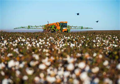 Basf insecticide Axalion®Active(Azidazolamide) becomes the only product ...