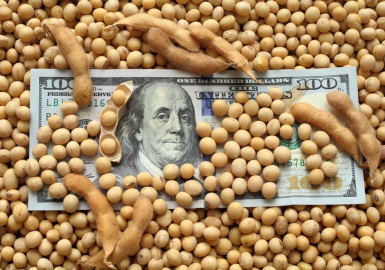 Basf insecticide Axalion®Active(Azidazolamide) becomes the only product ...