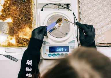 Basf insecticide Axalion®Active(Azidazolamide) becomes the only product ...